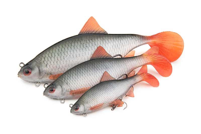 Leurre Souple Fox Rage Ultra Realistic Roach - Fish & Ship
